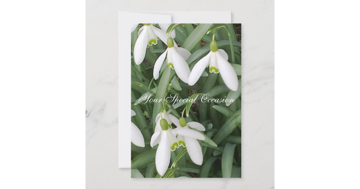 Snowdrops Invitation | Zazzle