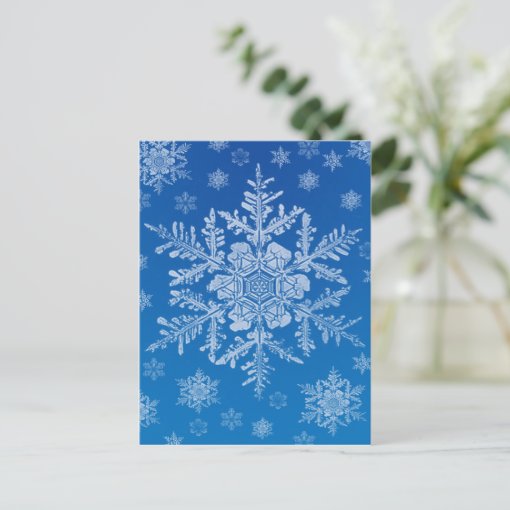 snowflake postcard | Zazzle