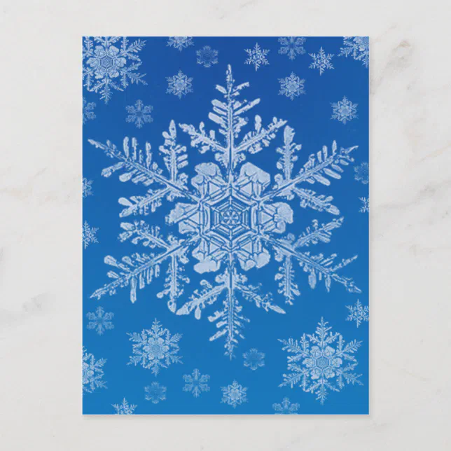 snowflake postcard | Zazzle
