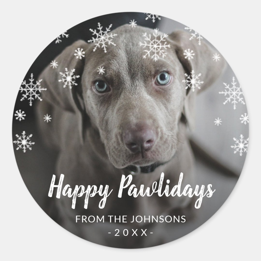 Snowflakes Dog Photo Cute Christmas Classic Round Sticker | Zazzle