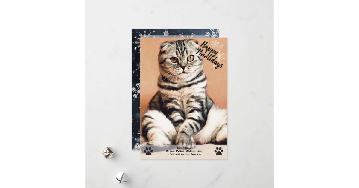 Snowflakes Happy Pawlidays Cat Dog Photo Christmas Holiday Card | Zazzle