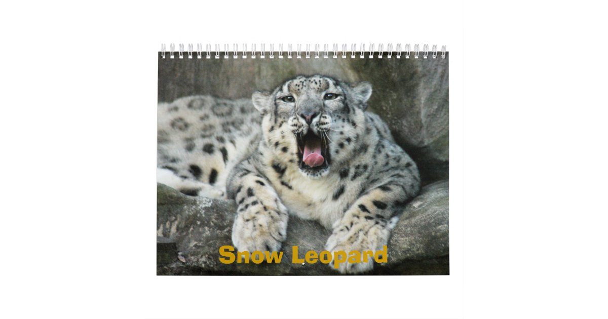 SnowLeopardBCR007, Snow Leopard Calendar | Zazzle