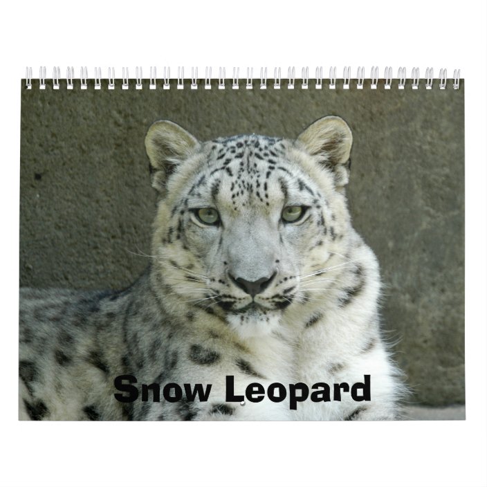 SnowLeopardM002, Snow Leopard Calendar | Zazzle.com