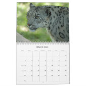 SnowLeopardM002, Snow Leopard Calendar | Zazzle