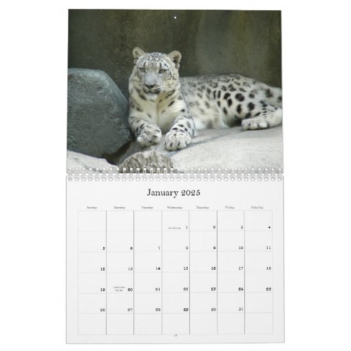 SnowLeopardM002, Snow Leopard Calendar | Zazzle