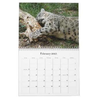 SnowLeopardM002, Snow Leopard Calendar | Zazzle