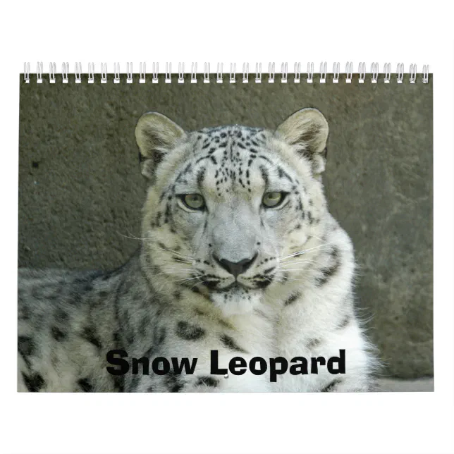 SnowLeopardM002, Snow Leopard Calendar | Zazzle