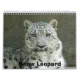 SnowLeopardM002, Snow Leopard Calendar | Zazzle
