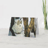 "Snowshoe Hare" Christmas Card | Zazzle