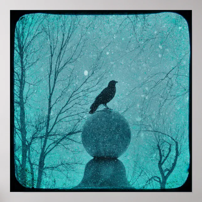 Snowy Blue Crow Poster | Zazzle