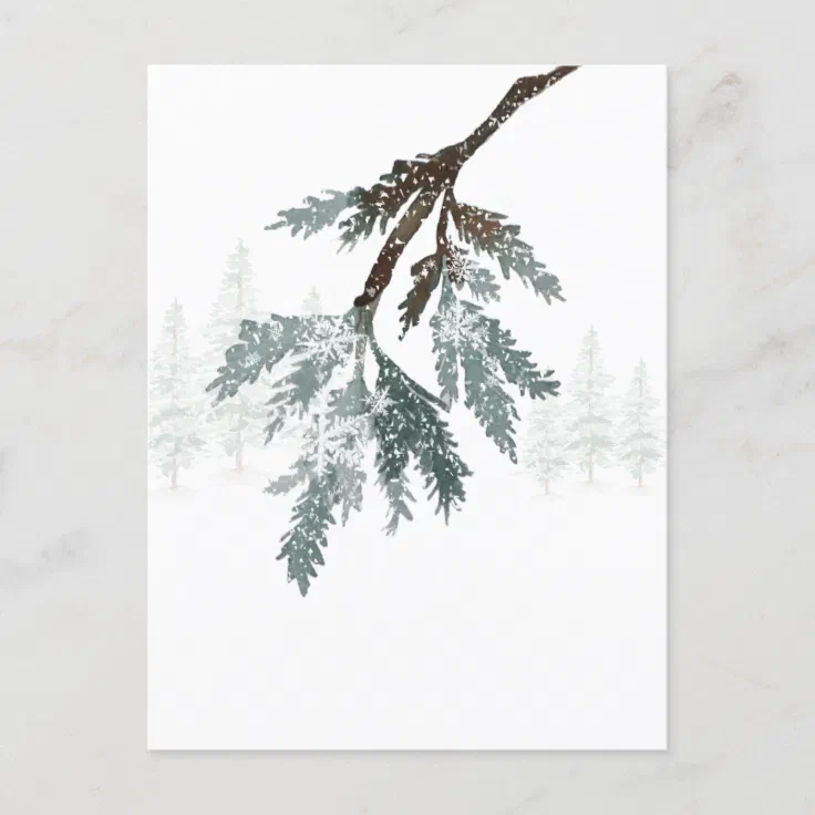 Snowy Blue Spruce Branch Winter Woodland Scene Postcard | Zazzle