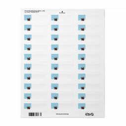 Snowy Brindle Frenchie Label | Zazzle