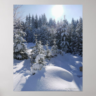 Winter Scene Posters & Prints | Zazzle