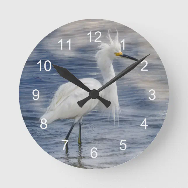Snowy Egret Animal Wildlife Round Clock | Zazzle