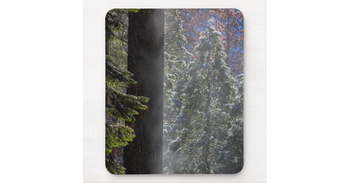 Snowy Mist in the Forest Mouse Pad | Zazzle
