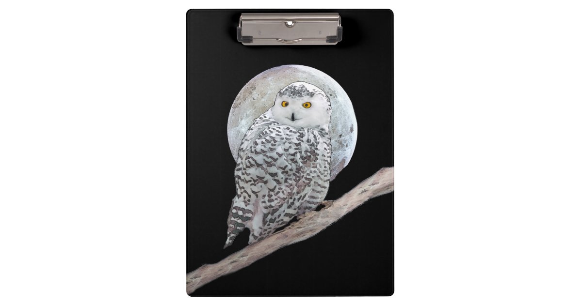 Snowy Owl and Moon Painting - Original Bird Art Clipboard | Zazzle