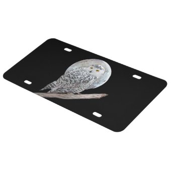 Snowy Owl and Moon Painting - Original Bird Art License Plate | Zazzle