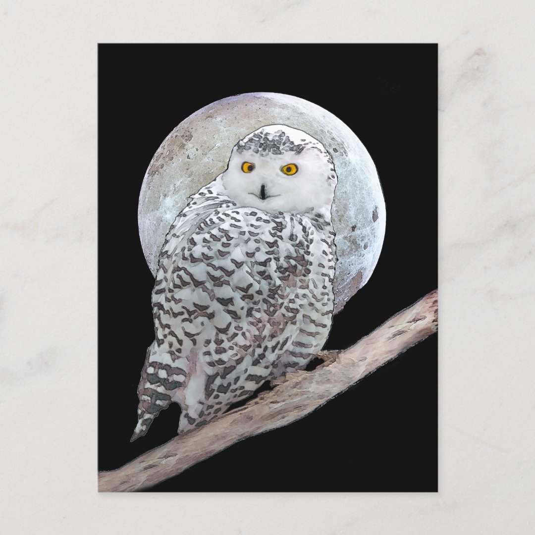 Snowy Owl and Moon Painting - Original Bird Art Postcard | Zazzle