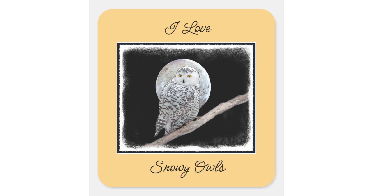 Snowy Owl and Moon Painting - Original Bird Art Square Sticker | Zazzle
