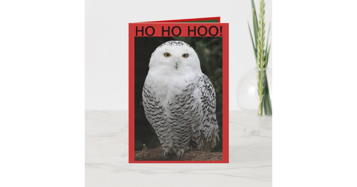 Snowy Owl Christmas card | Zazzle