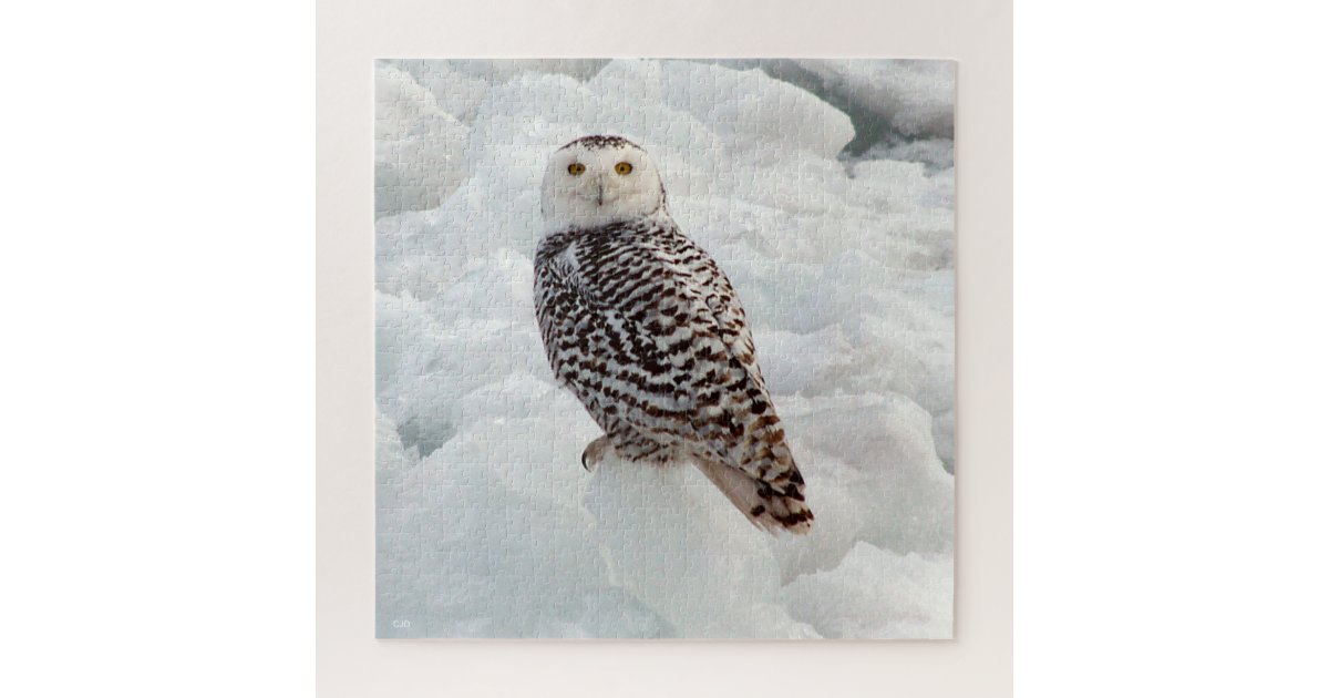 Snowy Owl jigsaw puzzle | Zazzle
