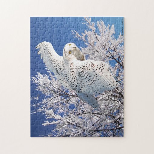 "Snowy Owl" Puzzle | Zazzle