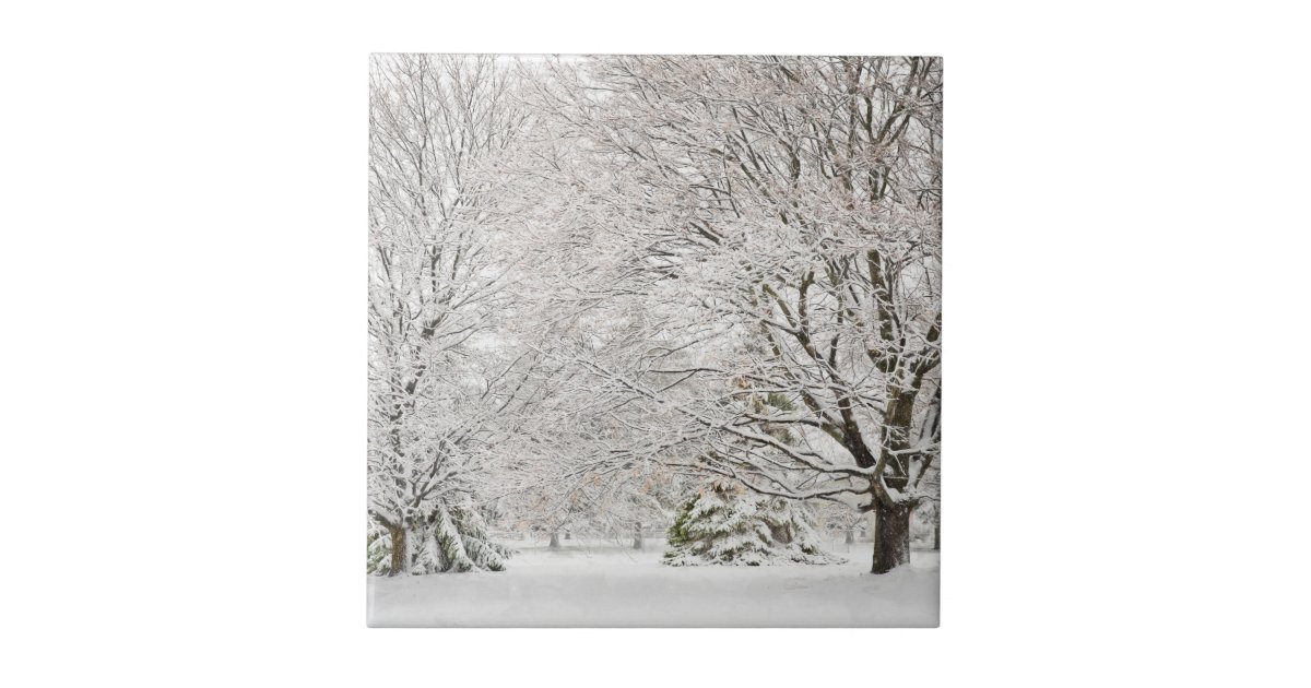Snowy Winter Forest Ceramic Tile | Zazzle