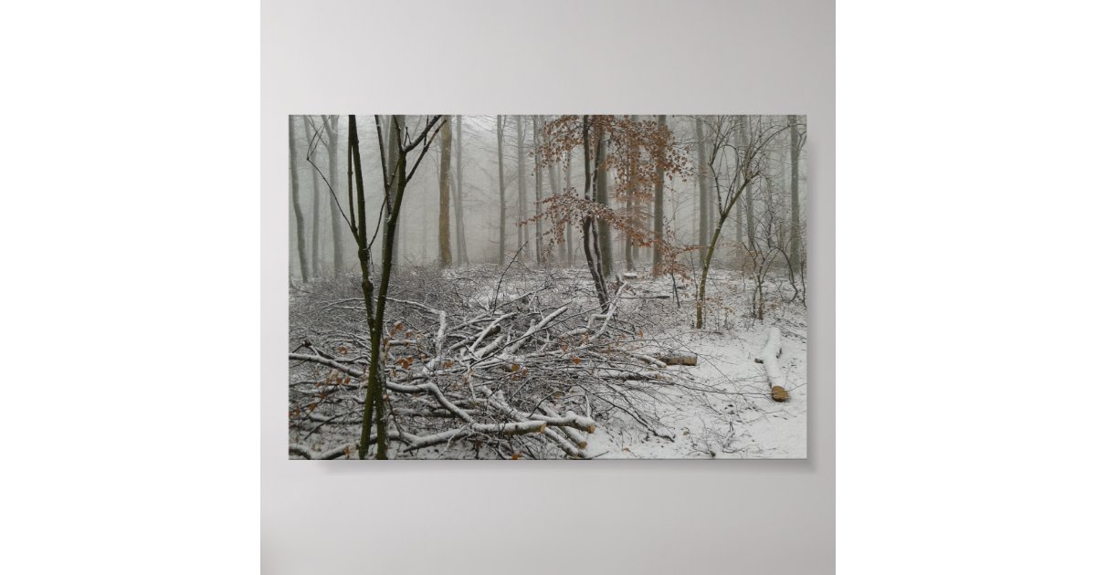 Snowy Winter Forest Poster | Zazzle