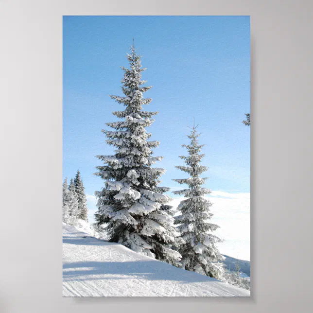 Snowy Winter Scene with Christmas Trees Poster | Zazzle