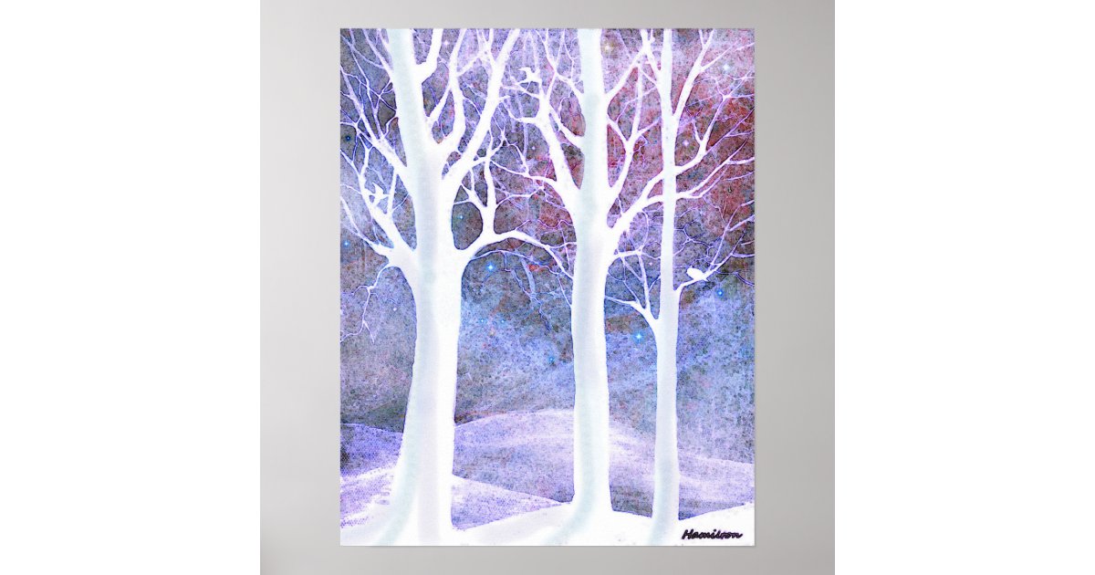 Snowy winter trees poster | Zazzle