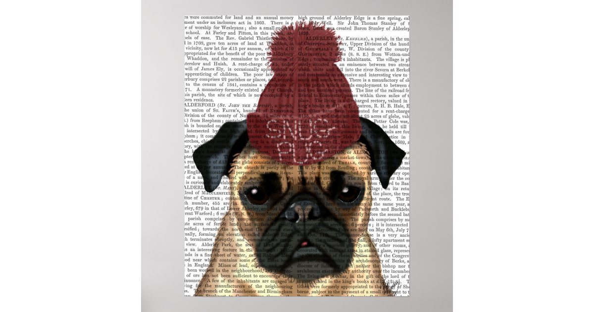 Snug Pug Poster | Zazzle