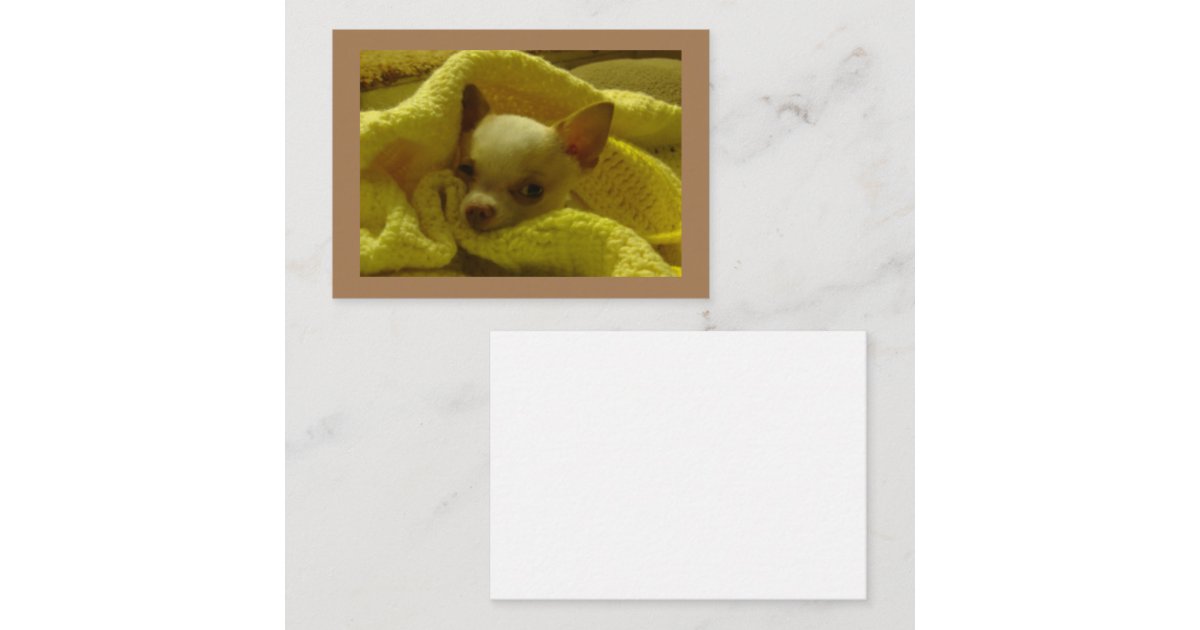 Snuggled Chihuahua Flat Note Cards | Zazzle