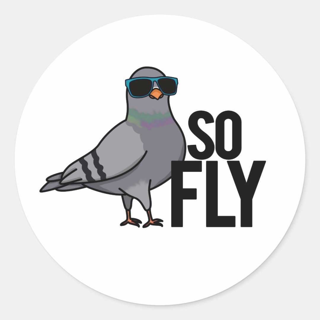 So Fly Funny Cool Pigeon Pun Classic Round Sticker | Zazzle