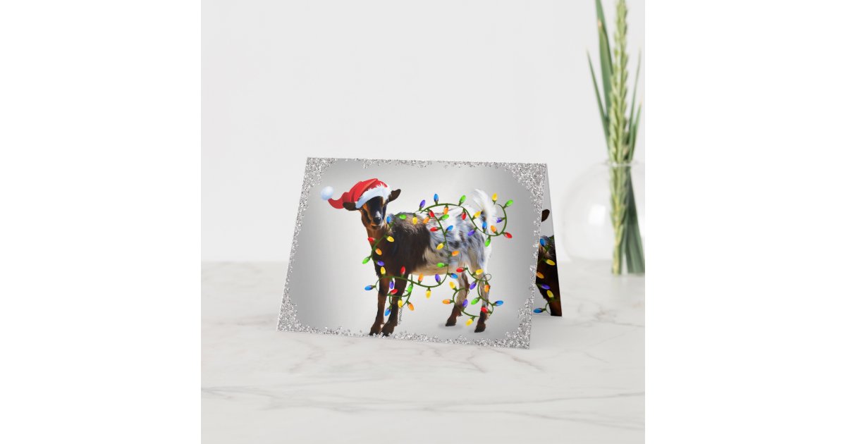 SO Good Christmas Goat Holiday Card | Zazzle