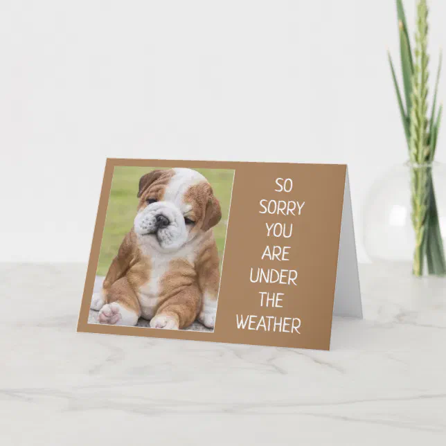 SO SAD YOU ARE NOT FEELING WELL CARD | Zazzle