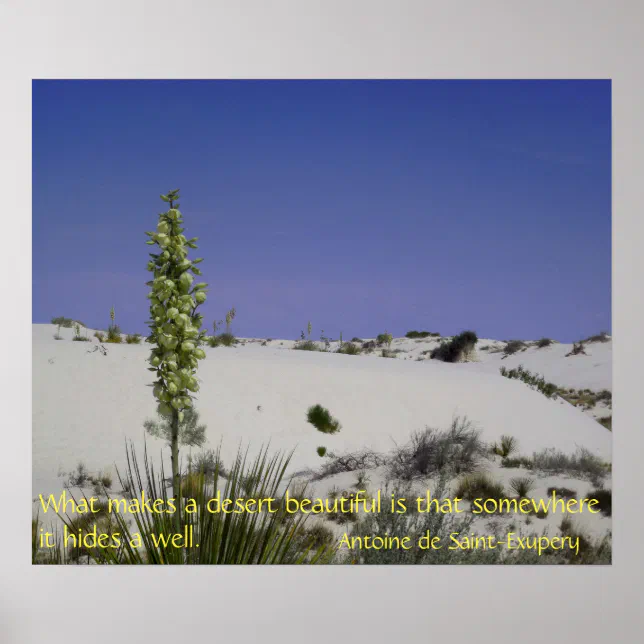 Soapweed Yucca Poster | Zazzle