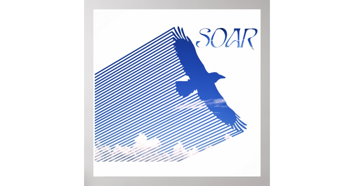 Soar Poster | Zazzle