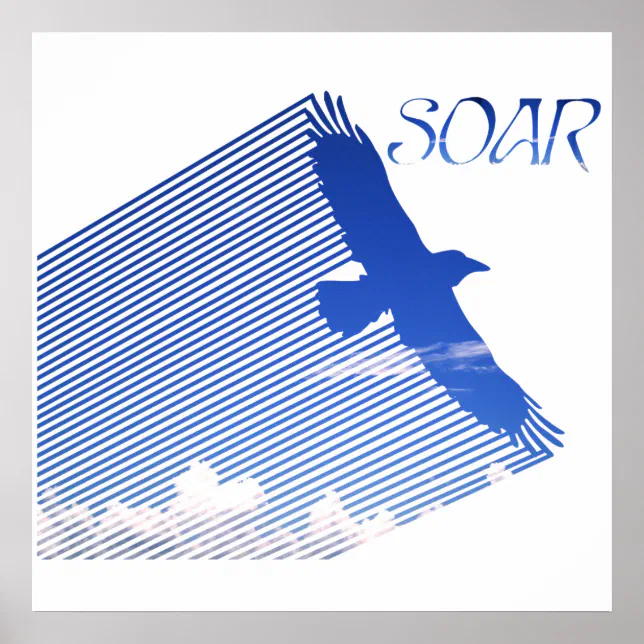 Soar Poster | Zazzle