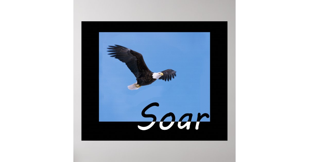 Soar Poster | Zazzle