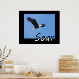 Soar Poster | Zazzle