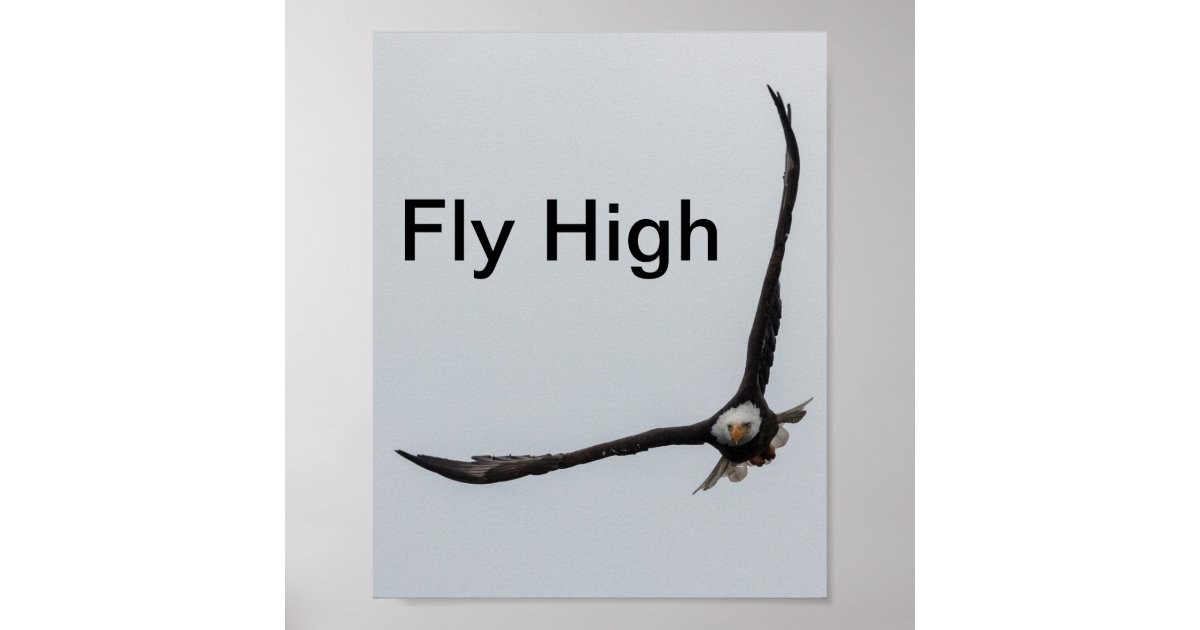 Soaring Bald Eagle Bird Flight Inspiration Nature Poster | Zazzle