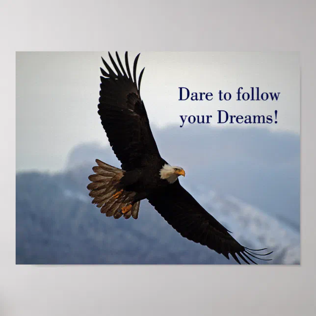 Soaring Bald Eagle Inspirational Quote Poster | Zazzle