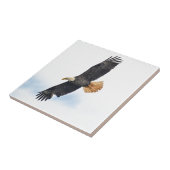 Soaring Bald Eagle Wildife Photo Art Ceramic Tile | Zazzle