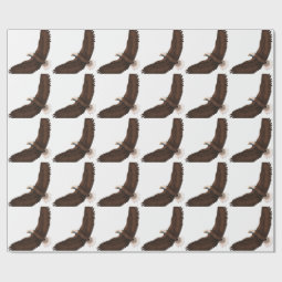 Soaring Bald Eagle Wrapping Paper | Zazzle