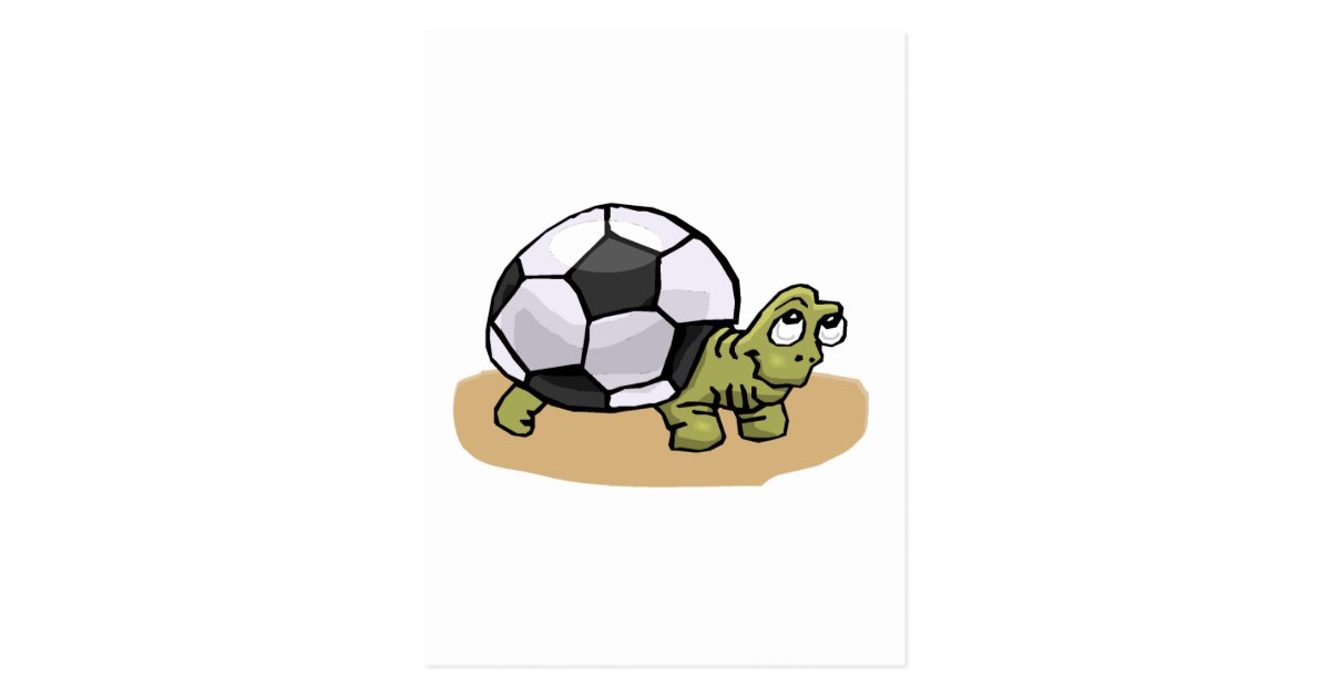 Soccer Ball Turtle Postcard | Zazzle.com