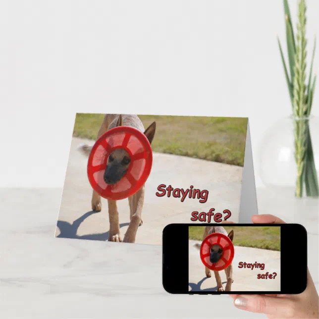 Social Distancing Dog Card | Zazzle