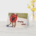 Social Distancing Dog Card | Zazzle