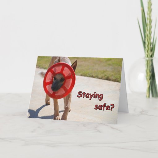 Social Distancing Dog Card | Zazzle