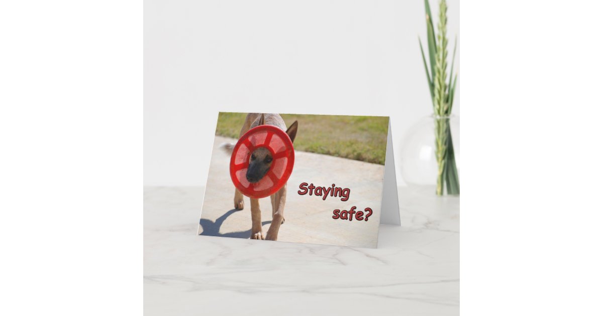 Social Distancing Dog Card | Zazzle