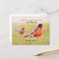 Social Distancing Is For the Birds Postcard | Zazzle